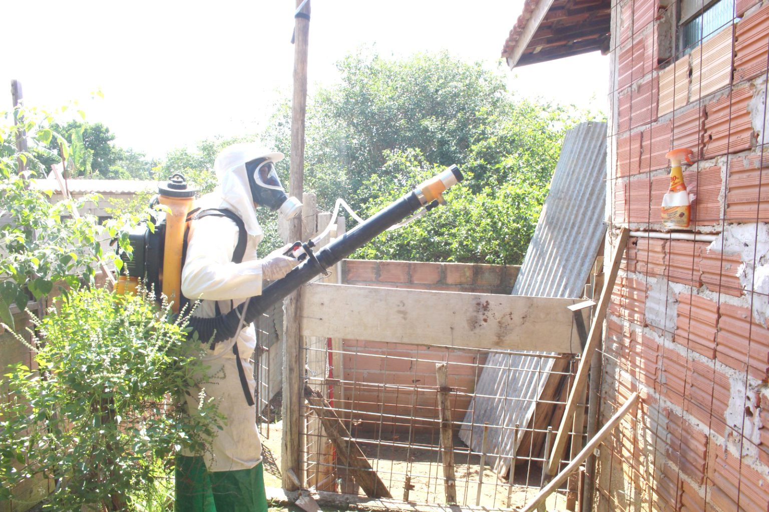 Município combate dengue no Ipê II, Campo Belo, Bonsucesso, Parque São Domingos, Azeredo e Padre ...